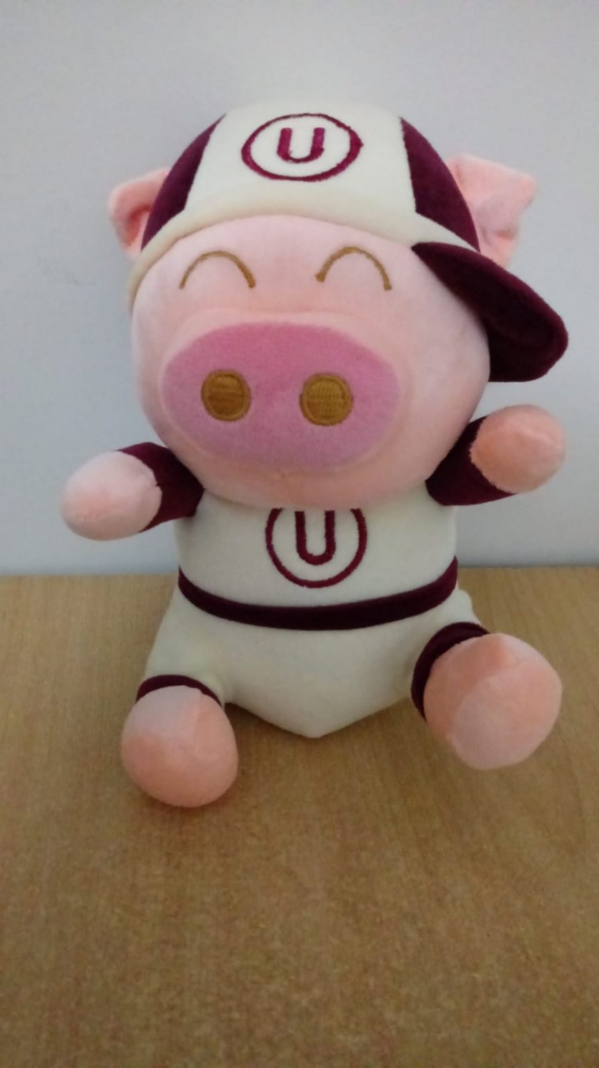 Chanchito Universitario – Traemelo
